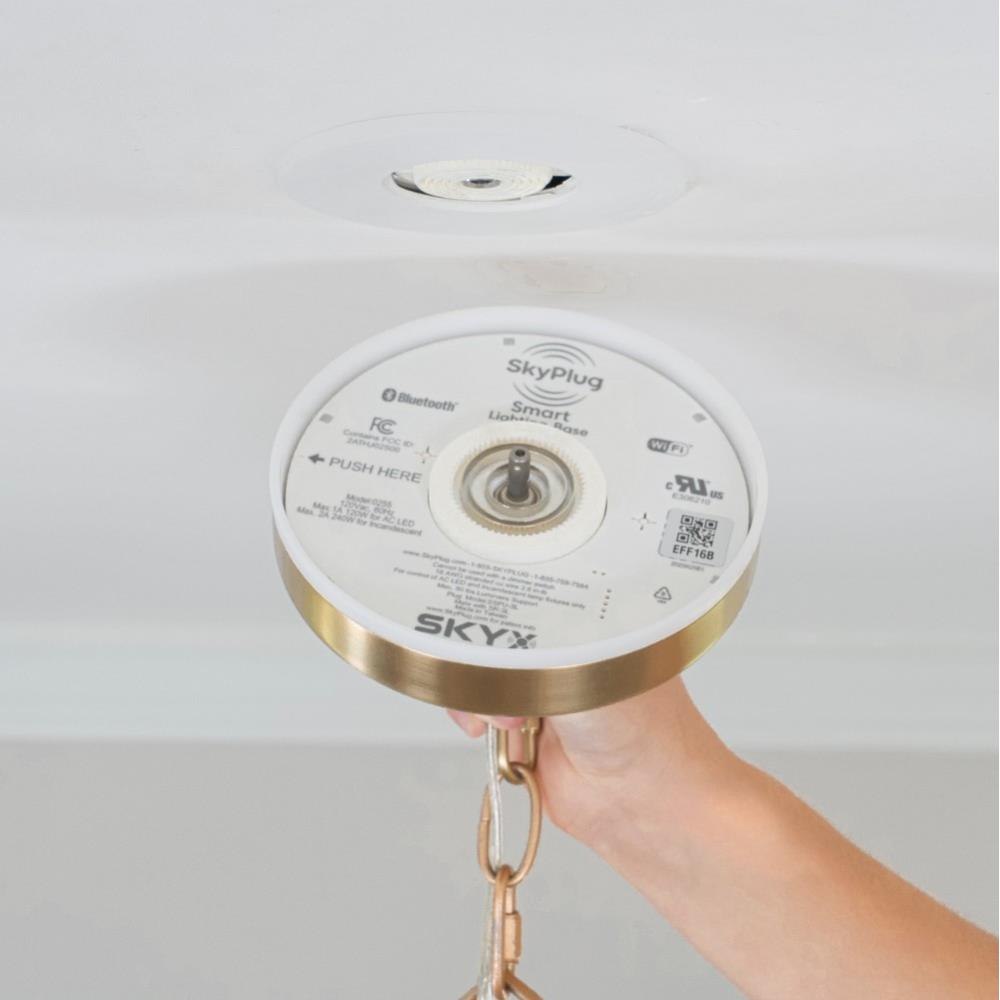 SkyPlug Smart Plug & Play Lighting Base Corvus by SkyX - 5927 - Bailey ...